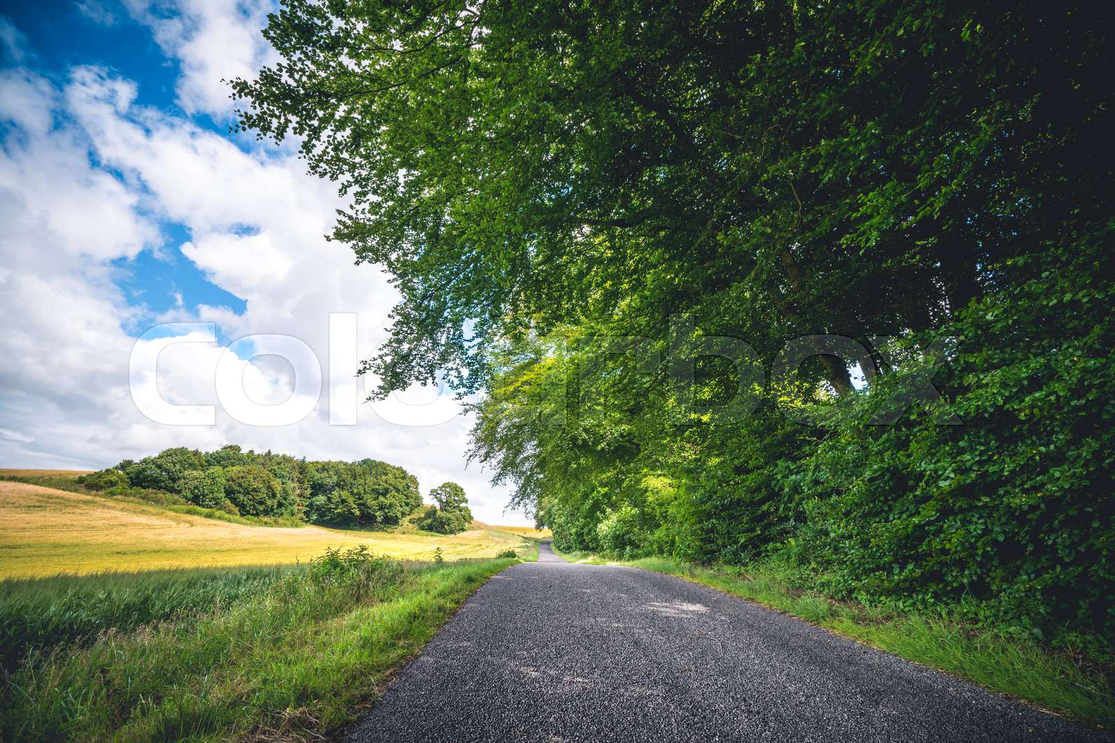 Asphalt road in a rural environment | Stock image | Colourbox