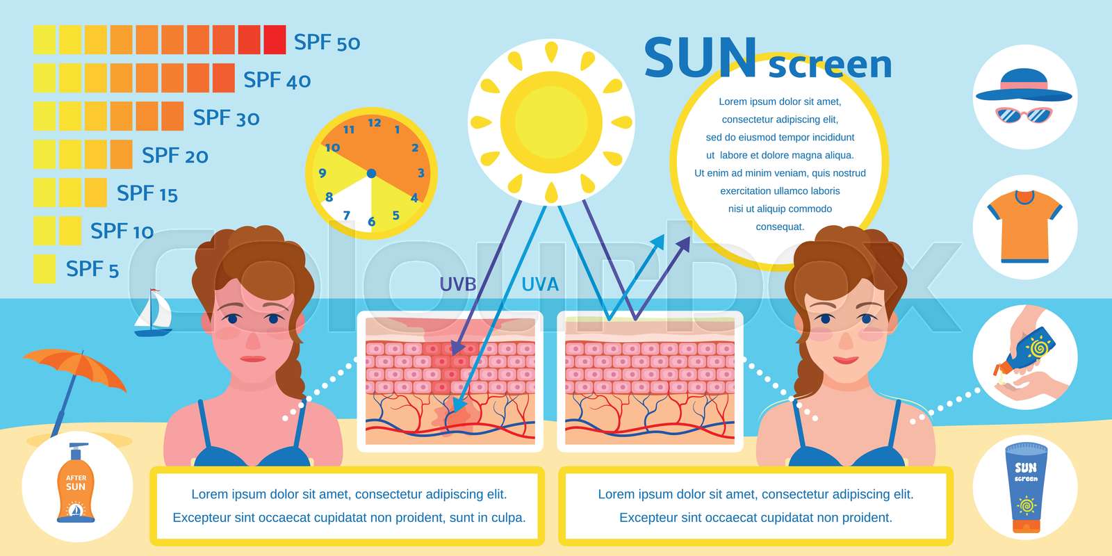 Sunscreen infographic, flat style | Stock vector | Colourbox