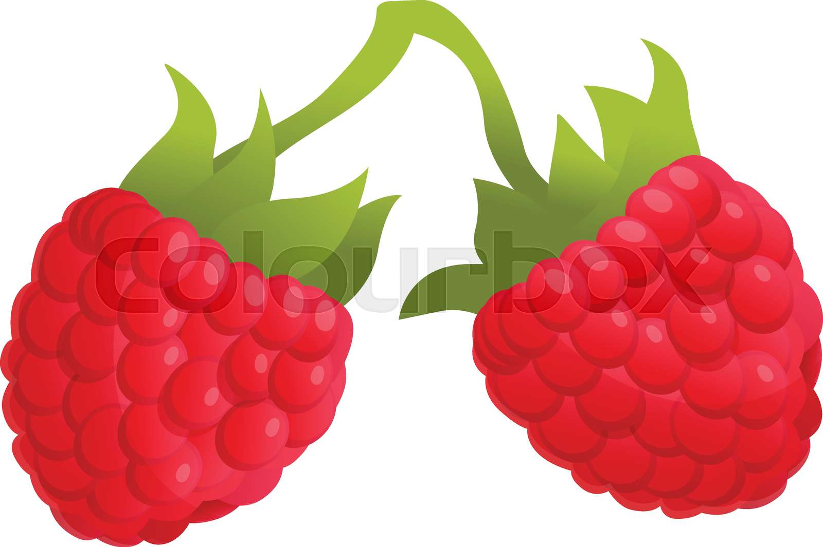 Cartoon Raspberries