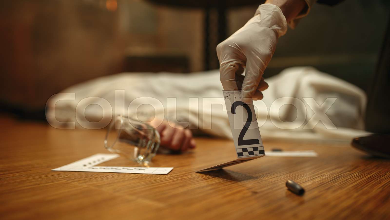 Detective in gloves looking evidence, crime scene | Stock image | Colourbox