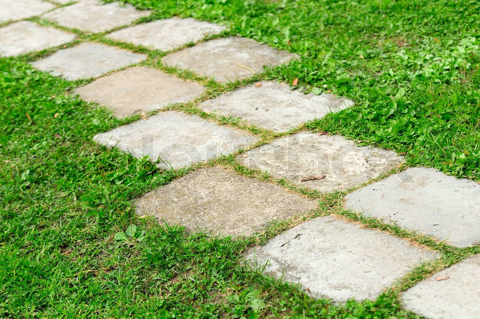 Tiled Garden Path | Stock image | Colourbox