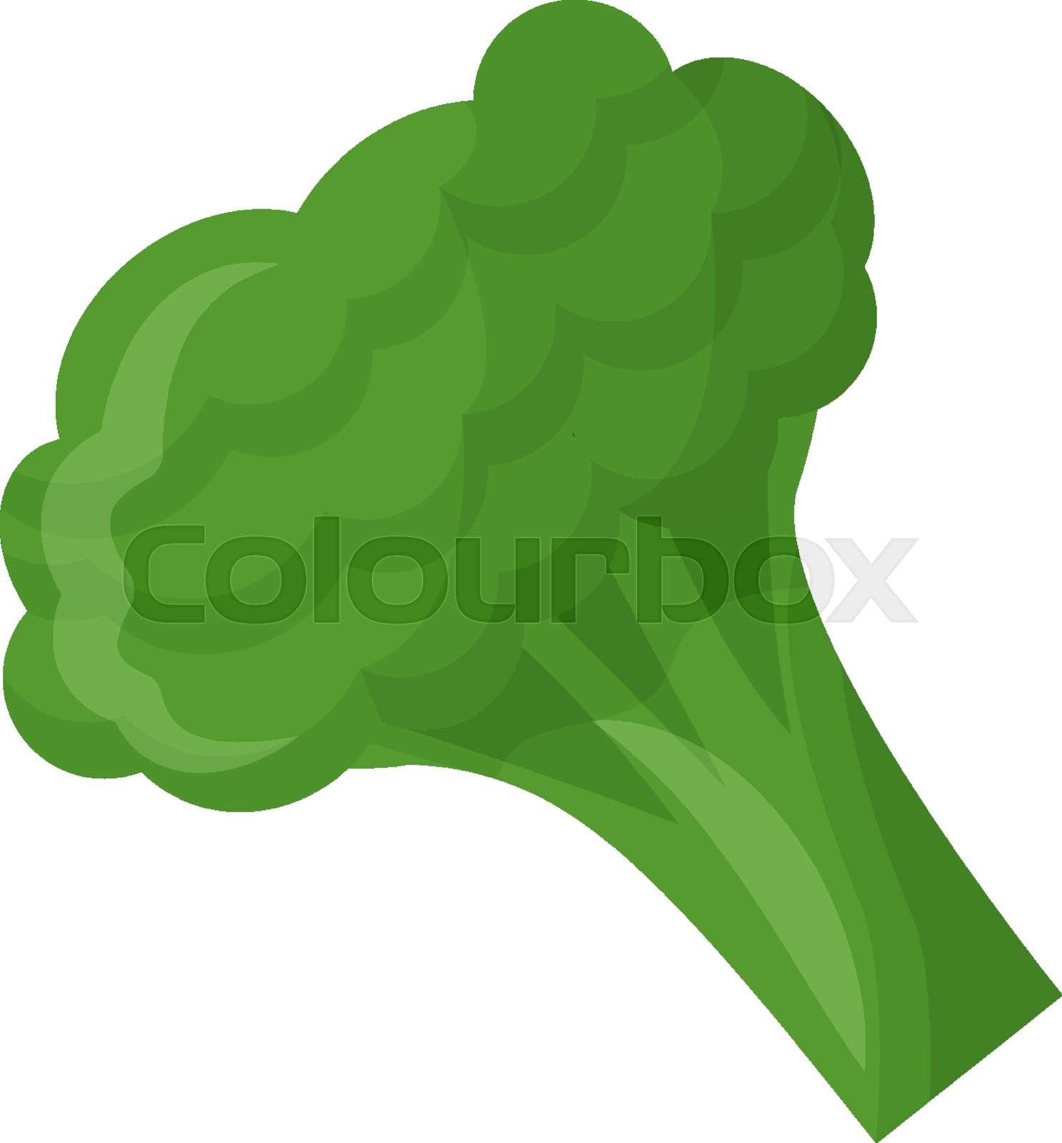 Broccoli cartoon vector illustration | Stock vector | Colourbox