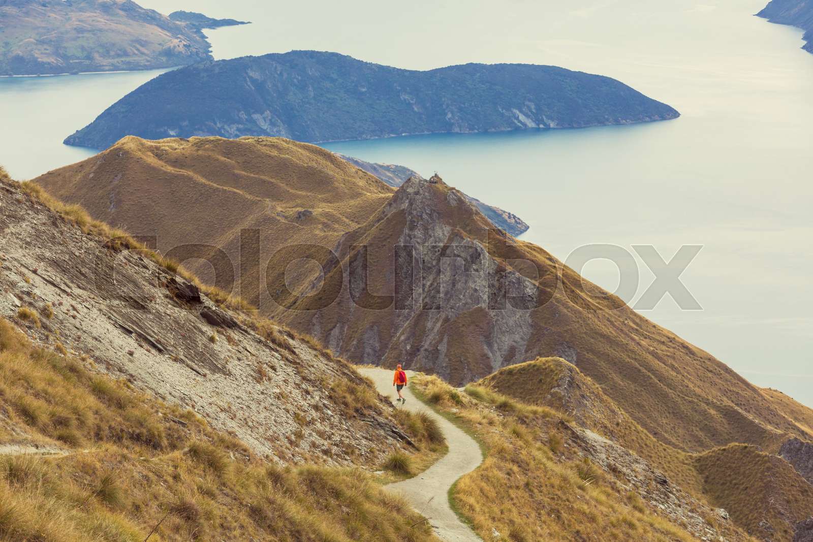 Wanaka | Stock image | Colourbox