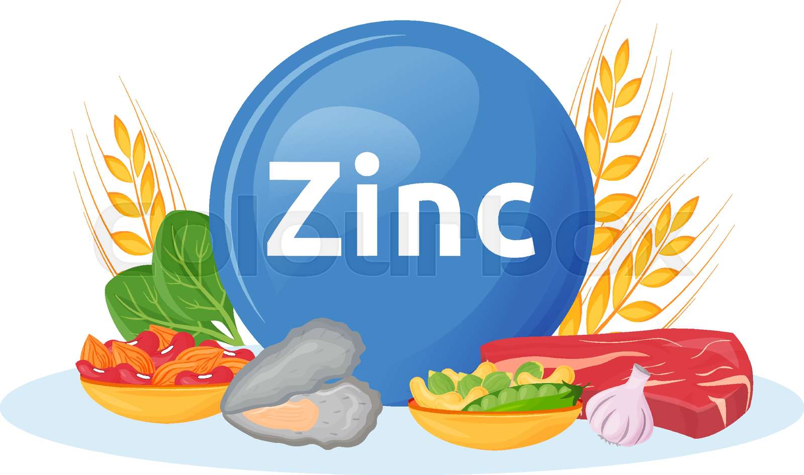 Products rich in zinc cartoon vector illustration | Stock vector ...