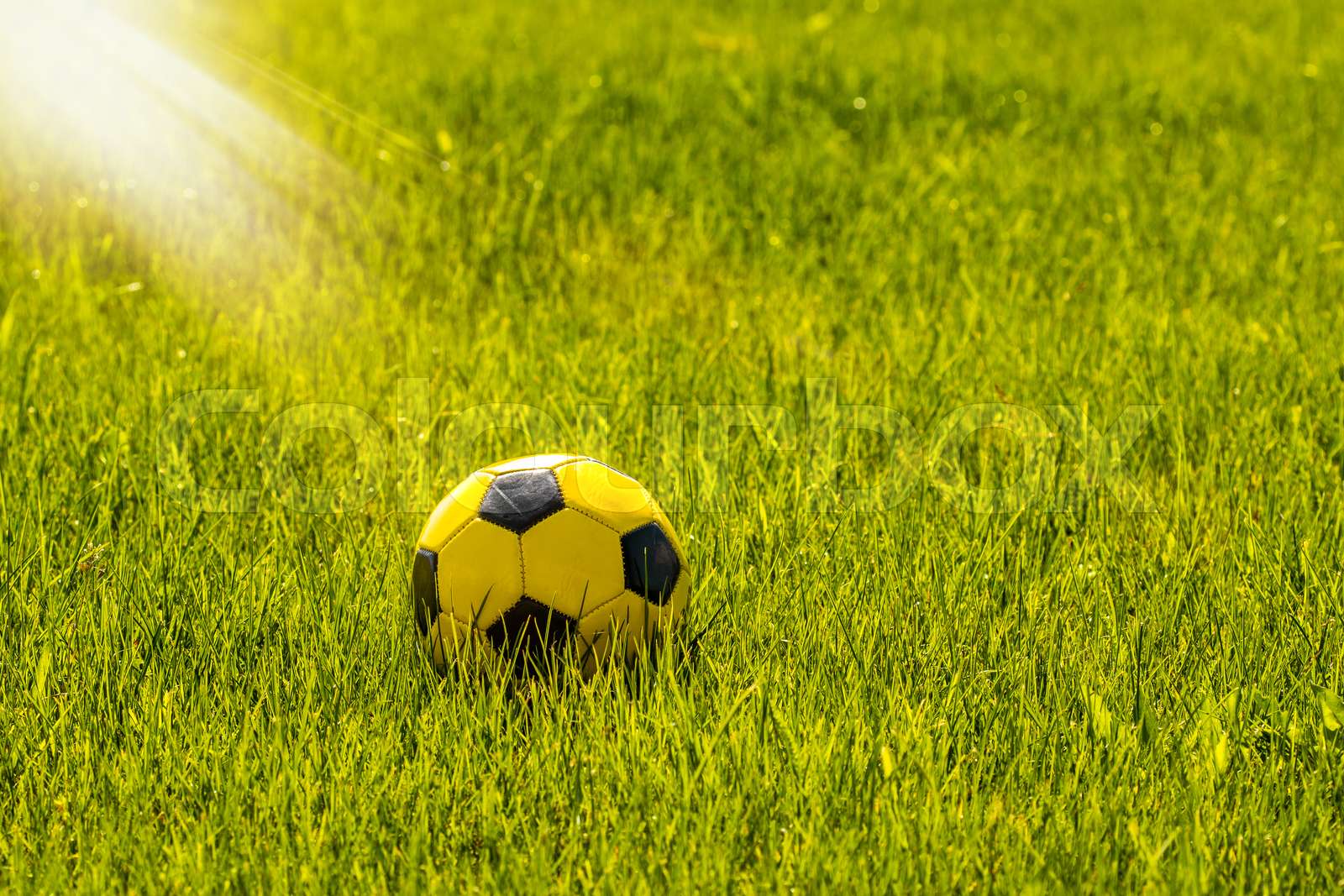 Yellow soccer ball in stadium | Stock image | Colourbox