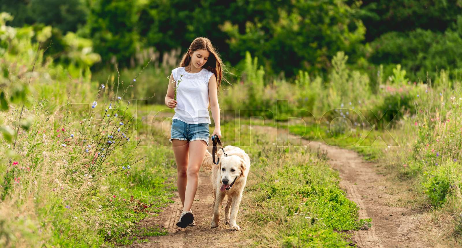 Cute little girl running with dog | Stock image | Colourbox