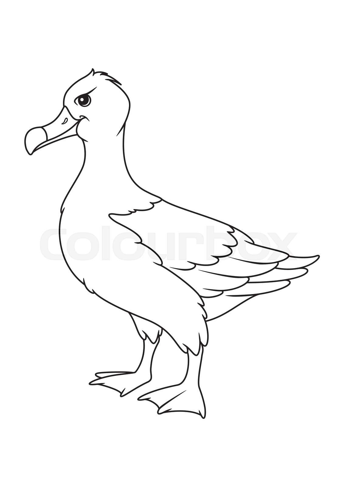 Cartoon albatross coloring page | Stock vector | Colourbox