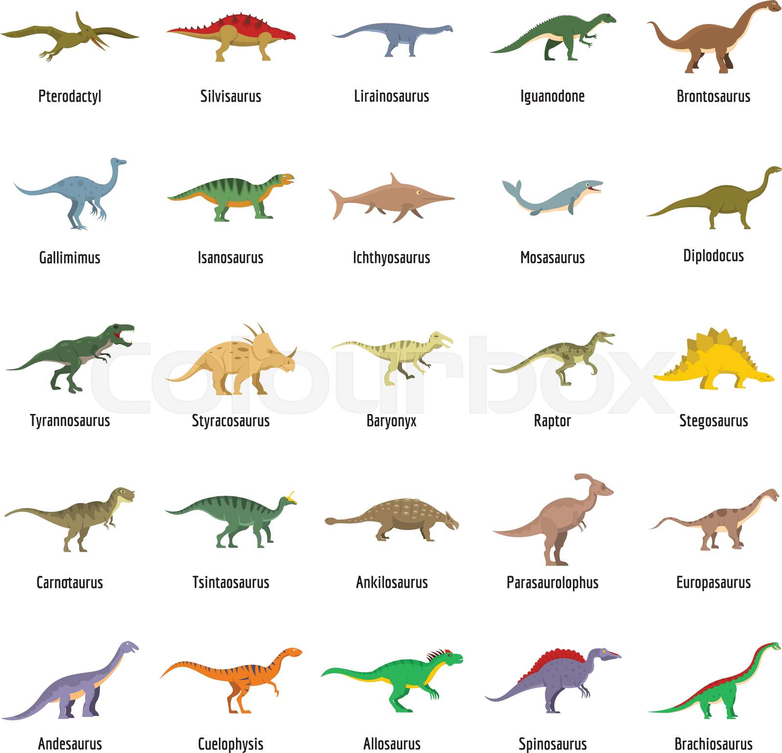 dinosaurio, tipos, stegosaurus | Vector de archivo | Colourbox