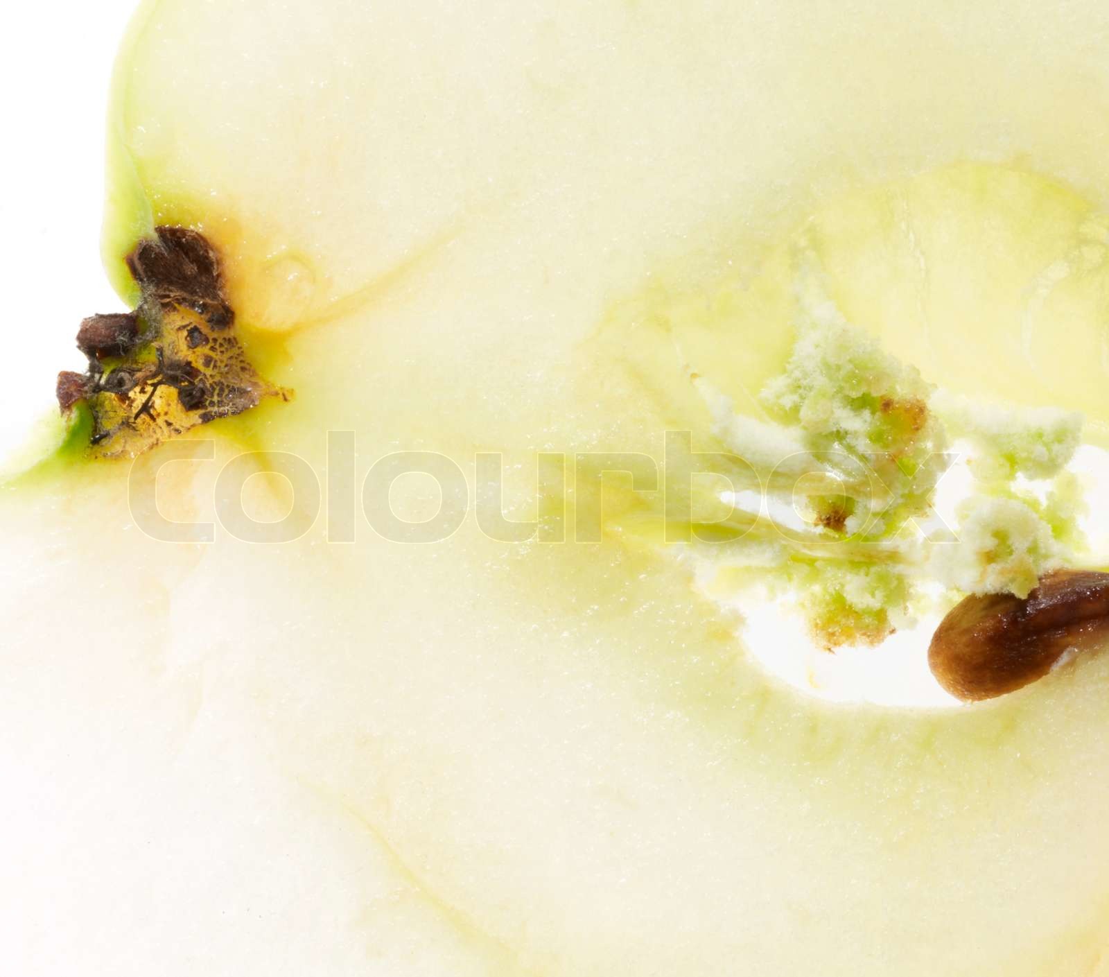 apple slice | Stock image | Colourbox