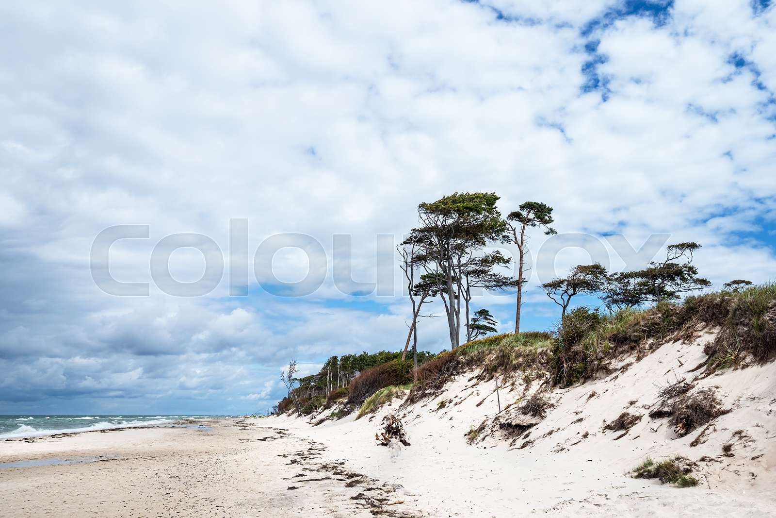 Der Weststrand auf dem Fischland-Darß | Stock image | Colourbox