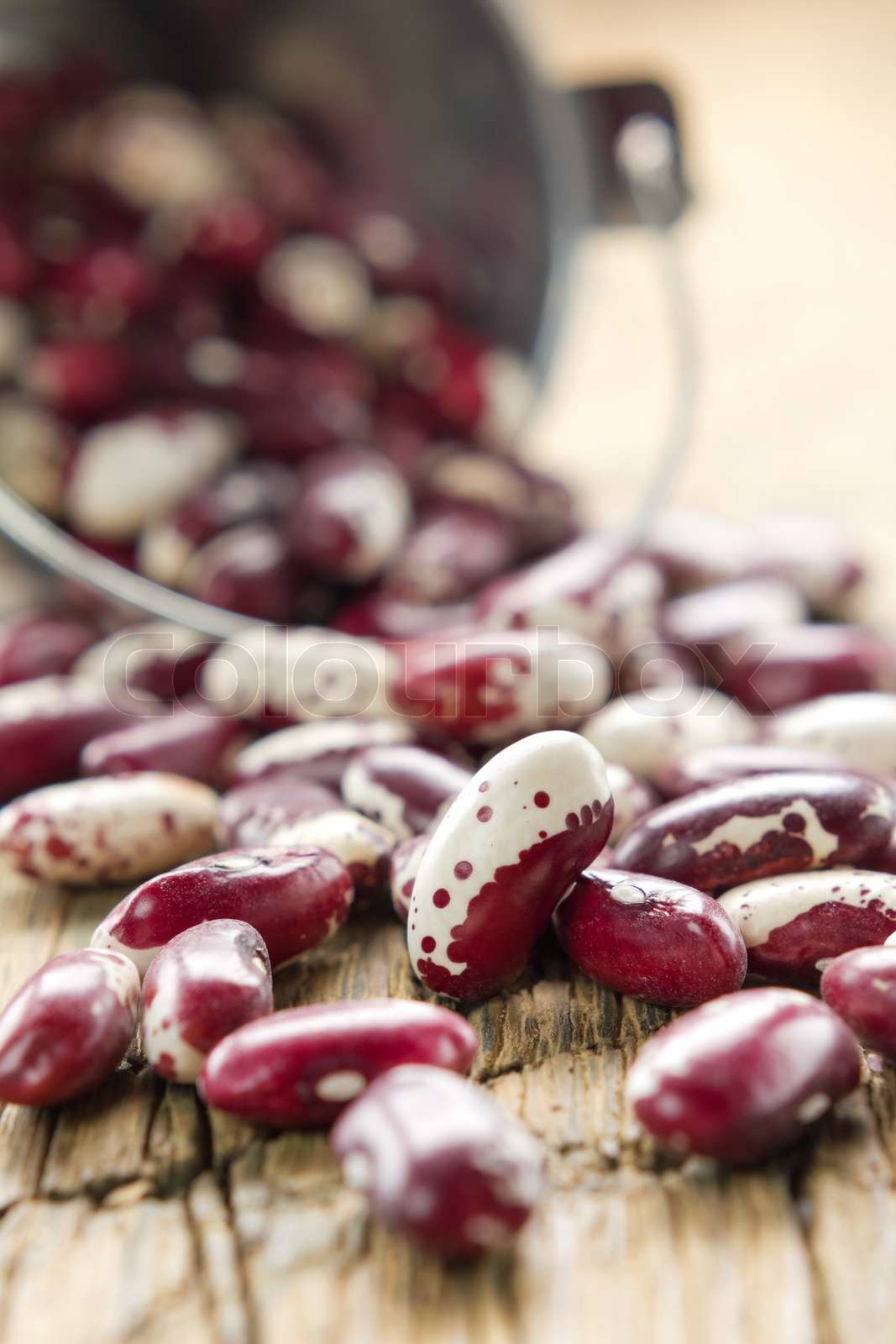 Haricot bean | Stock image | Colourbox