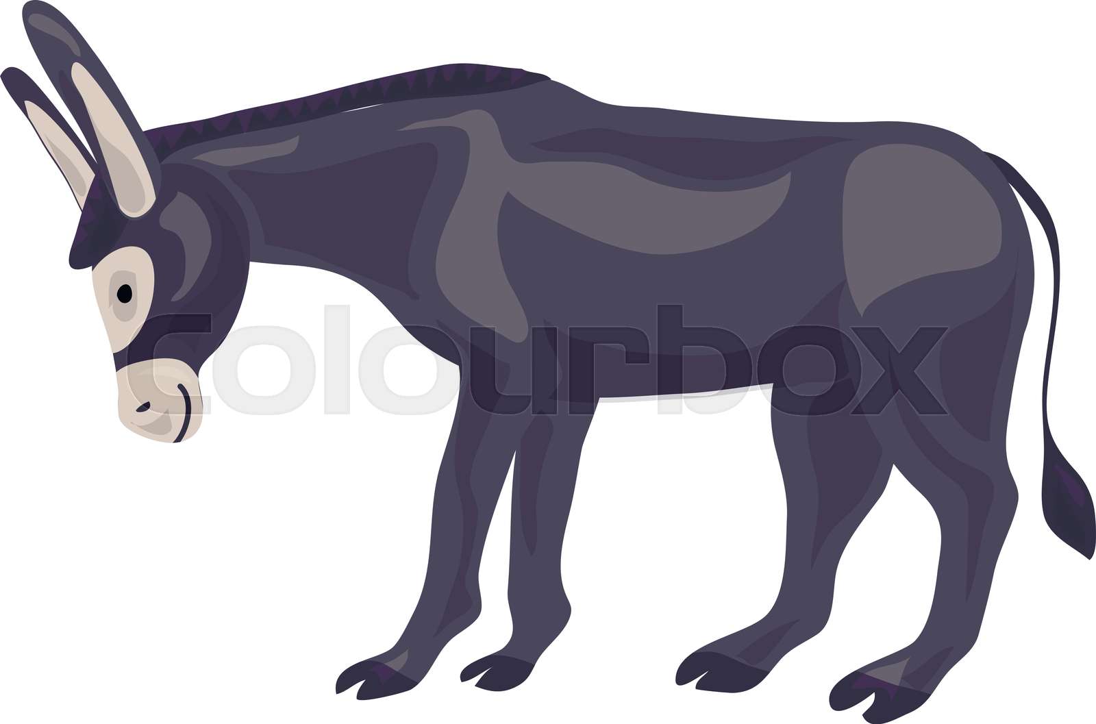 maultier, esel, icon | Stock-Vektor | Colourbox