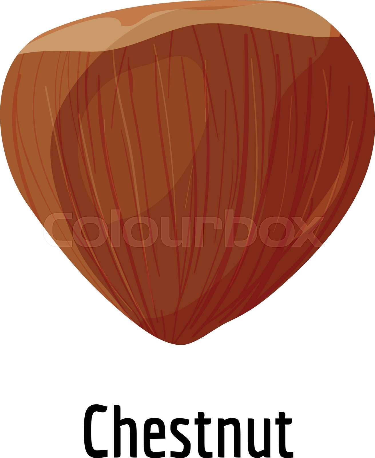 Chestnut icon, cartoon style | Stock vector | Colourbox