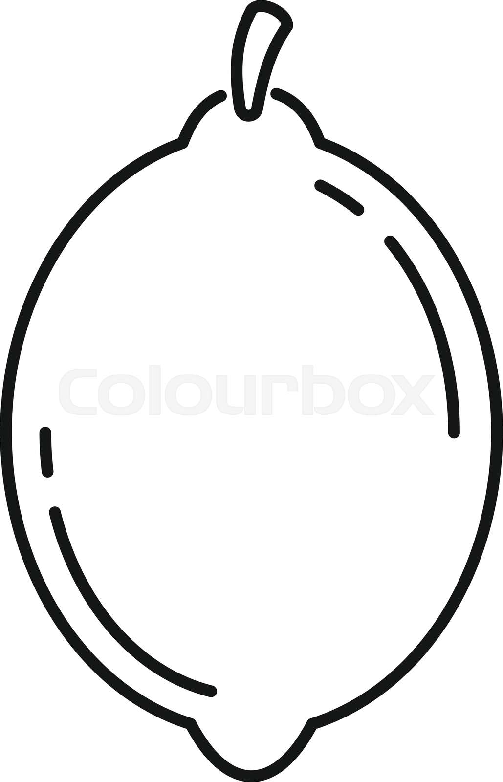 Lime icon, outline style | Stock vector | Colourbox