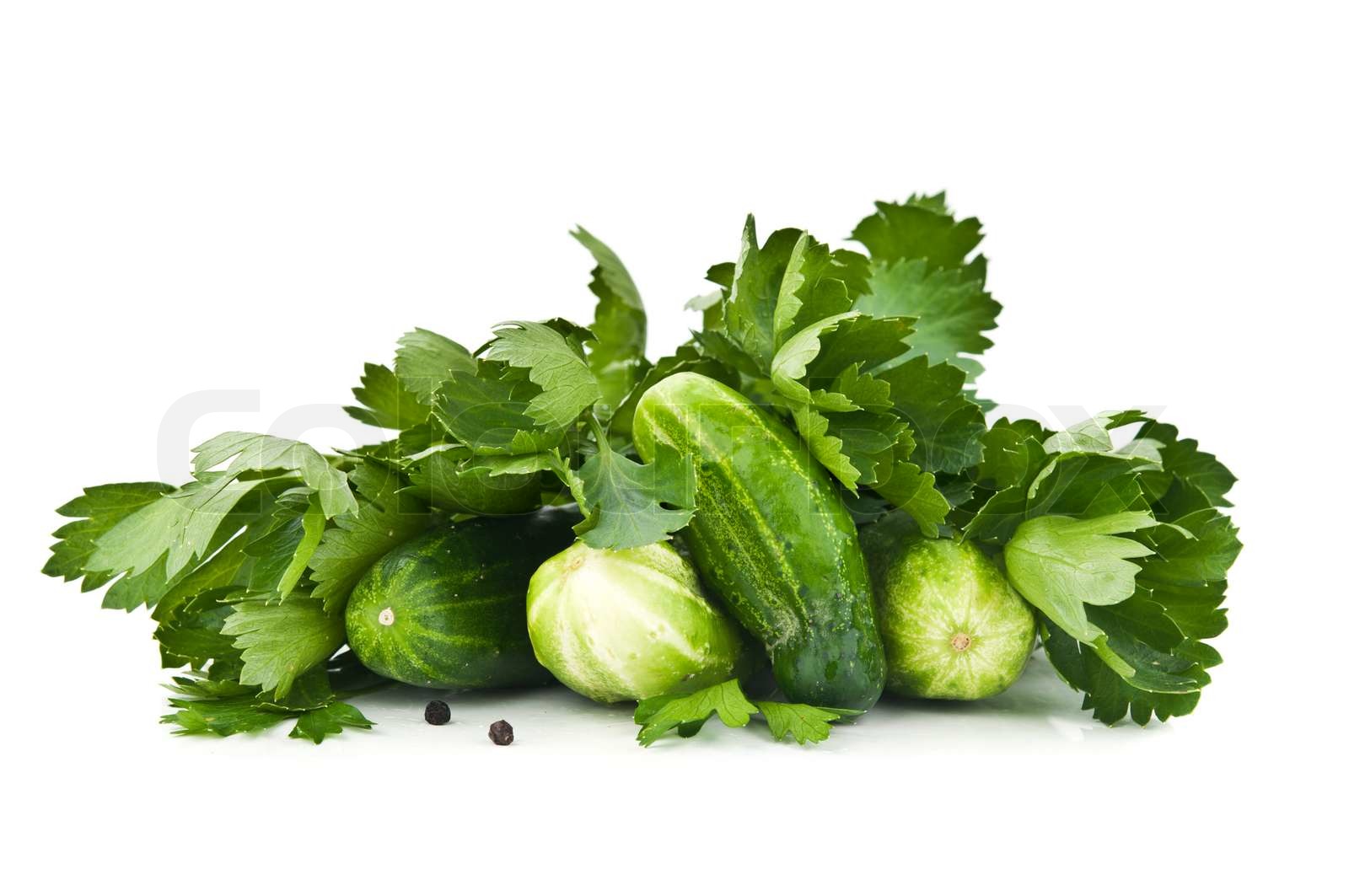 fresh green cucumber | Stock image | Colourbox