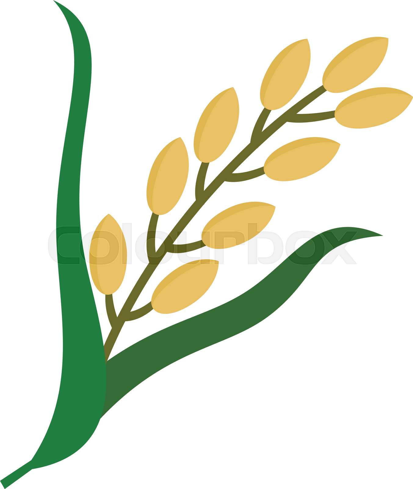 Rice plant icon, flat style | Stock vector | Colourbox