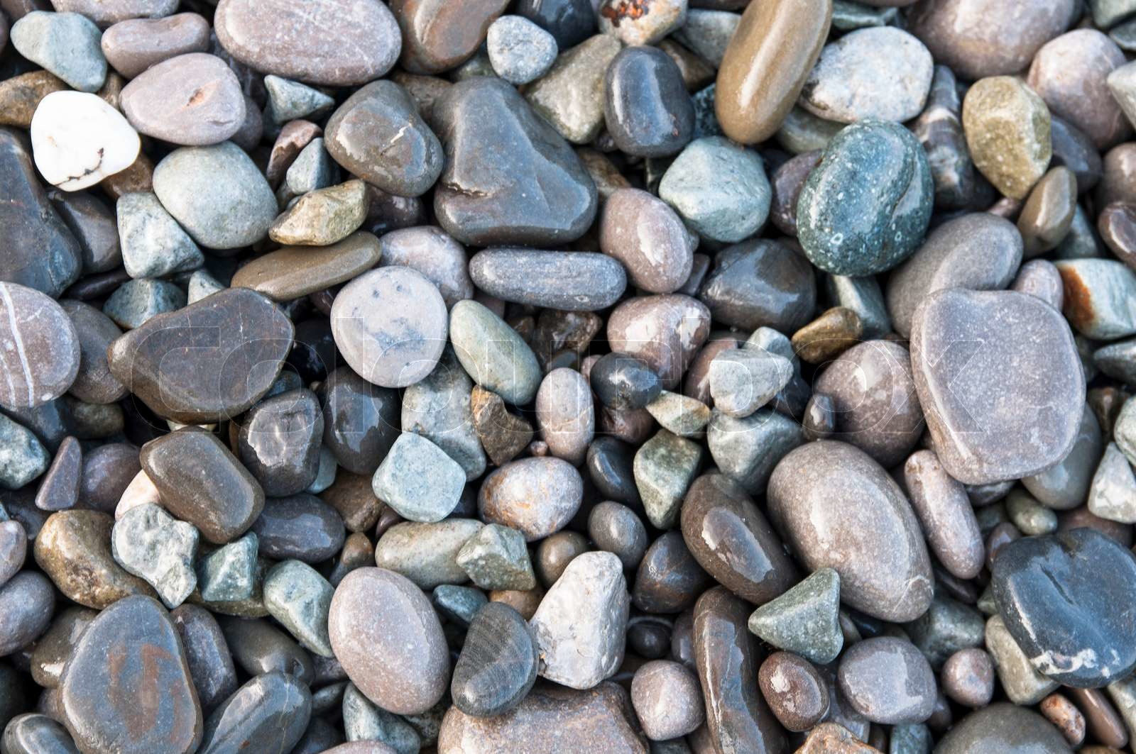 Wet sea pebbles close up shot | Stock image | Colourbox