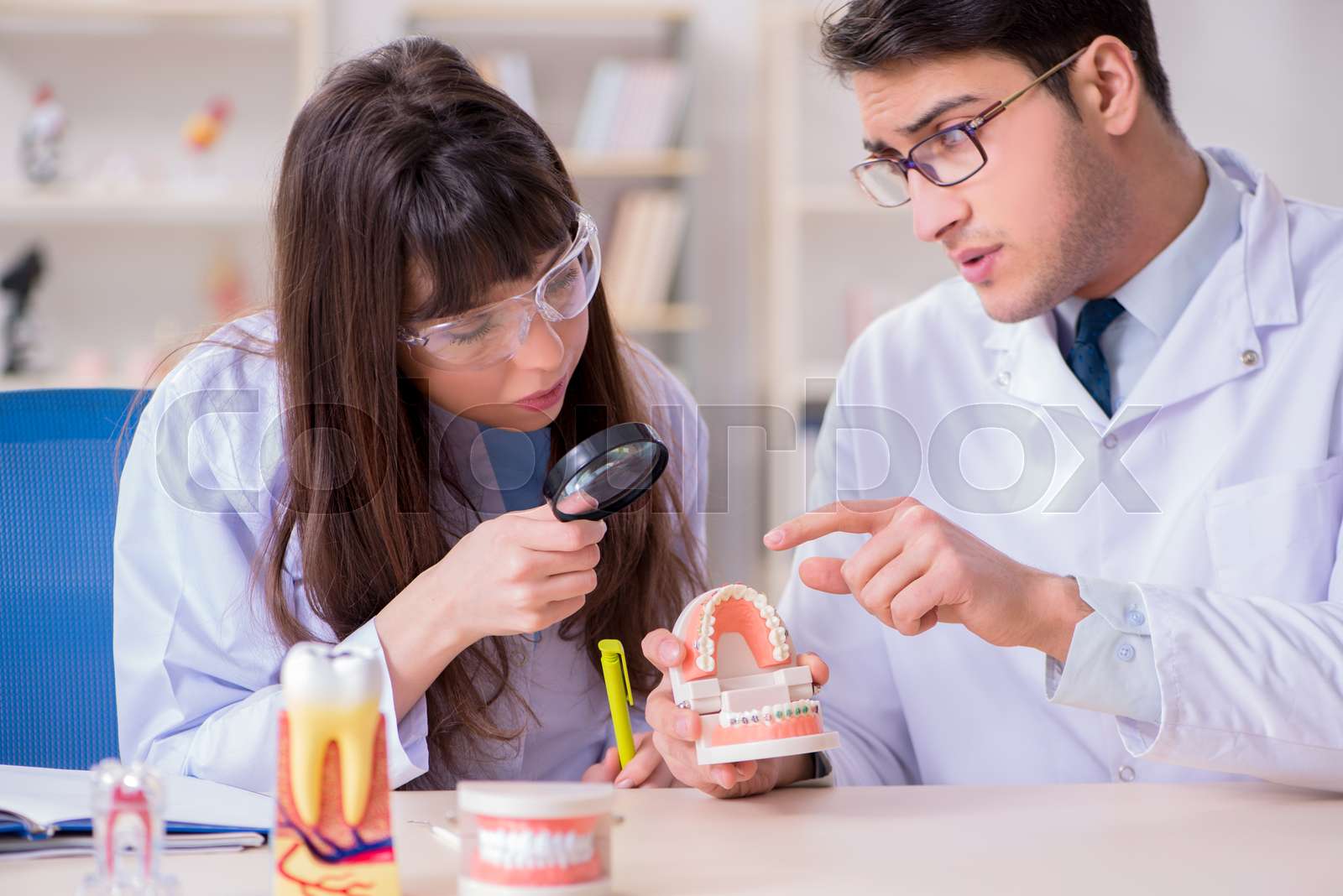 Dentist explaining student tooth structure | Stock image | Colourbox
