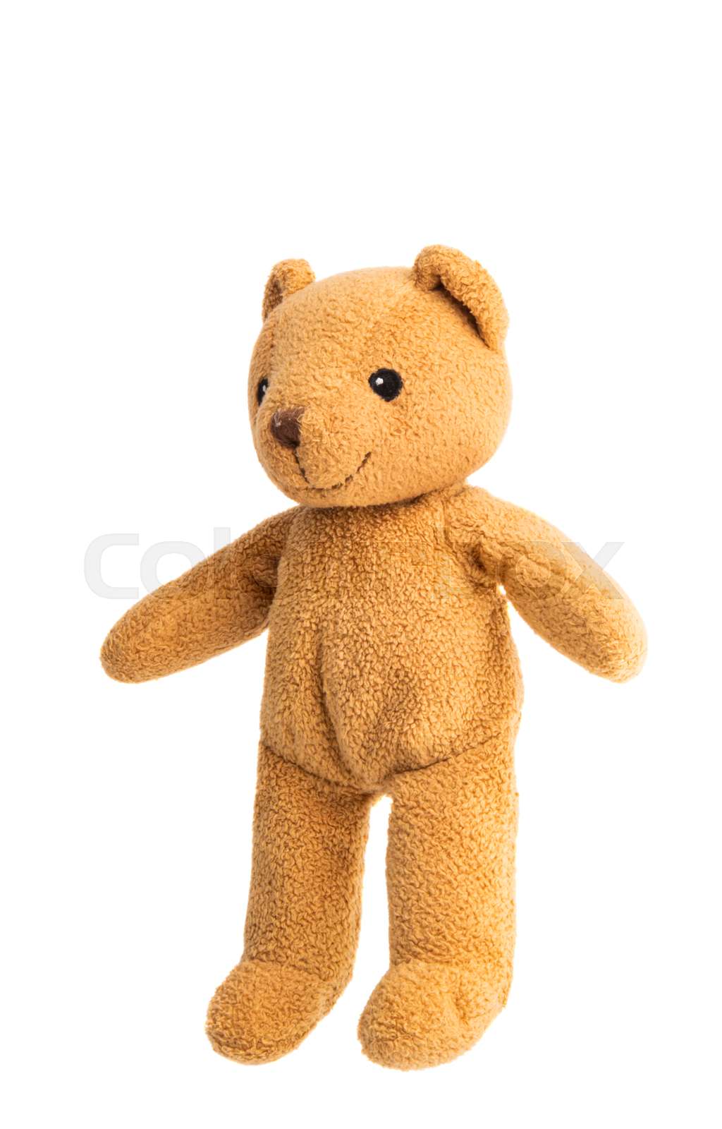 soft teddy bear isolated | Stock image | Colourbox