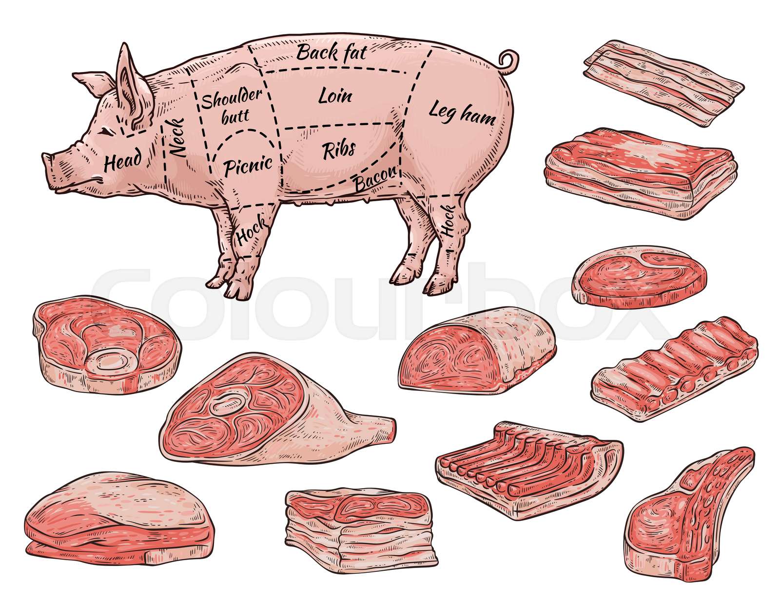 Meat Portions Of A Pig