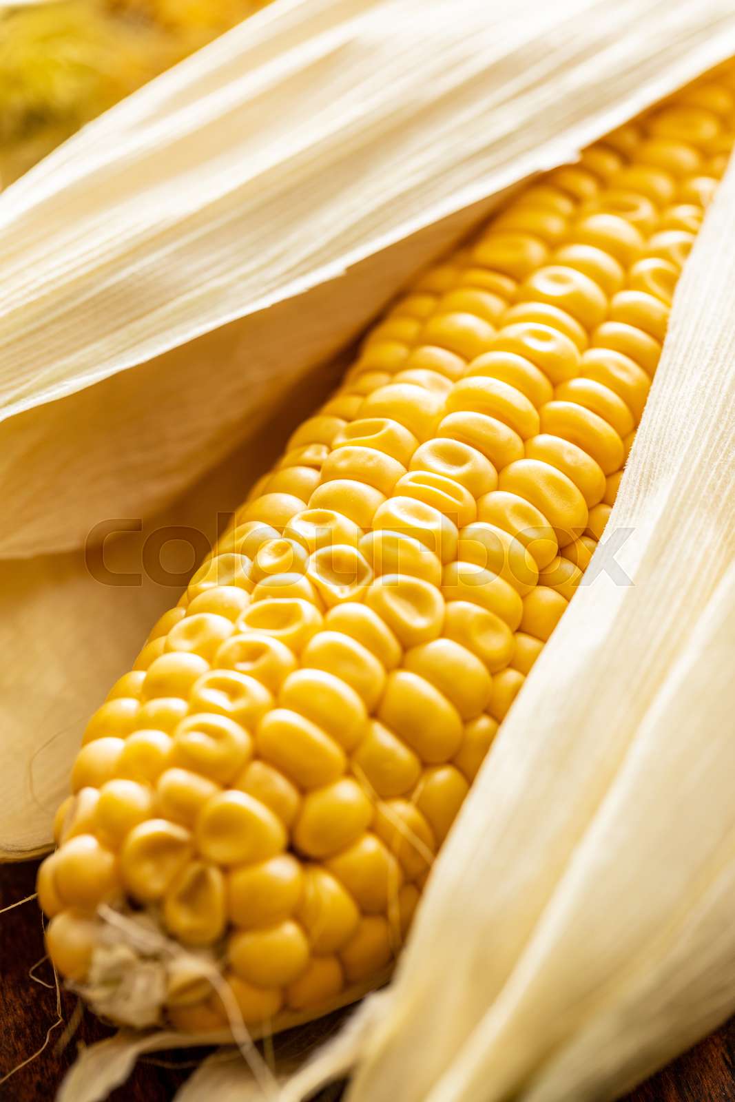 Uncooked corn cob | Stock image | Colourbox