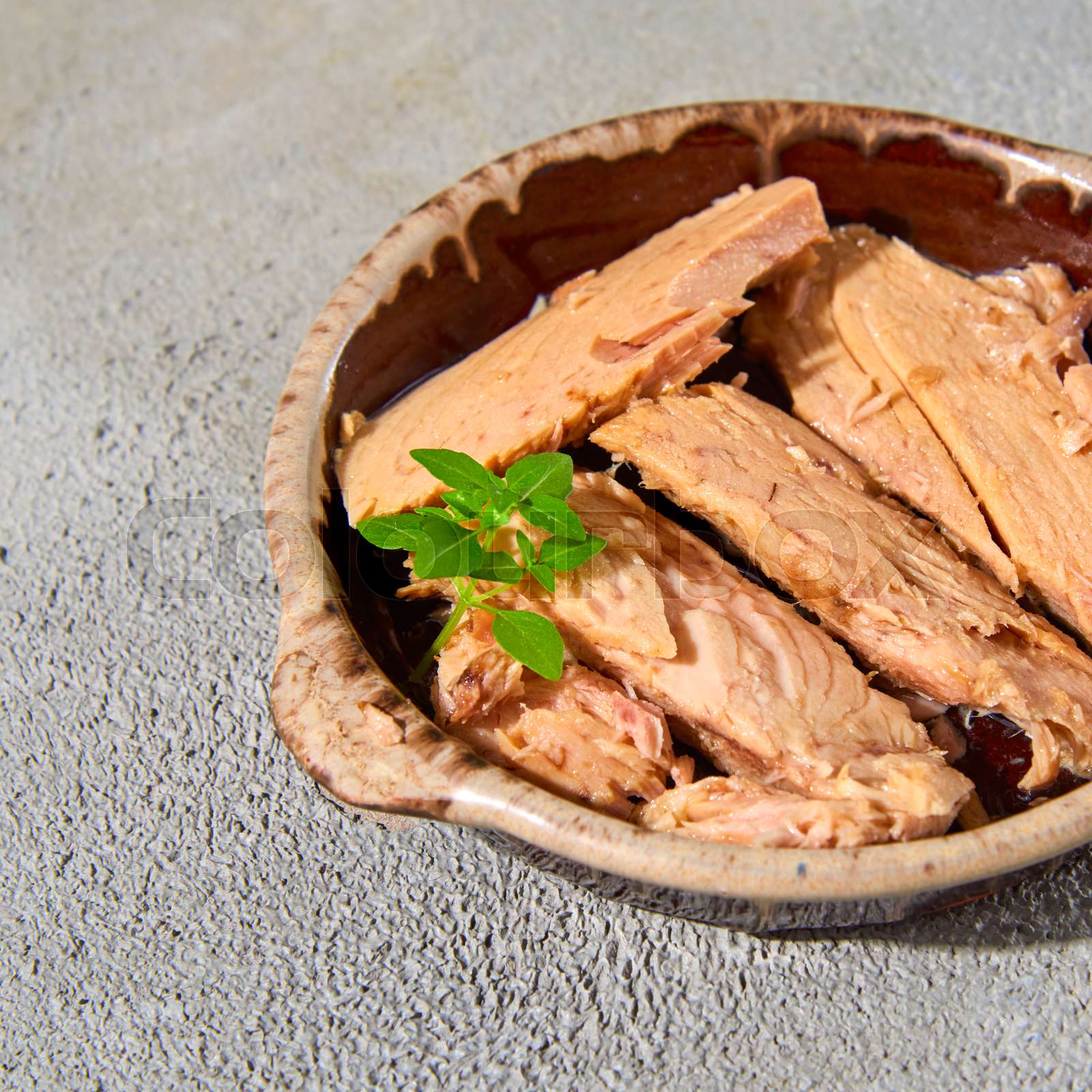 bonito, spanish mackerel-like fish, in oil | Stock image | Colourbox