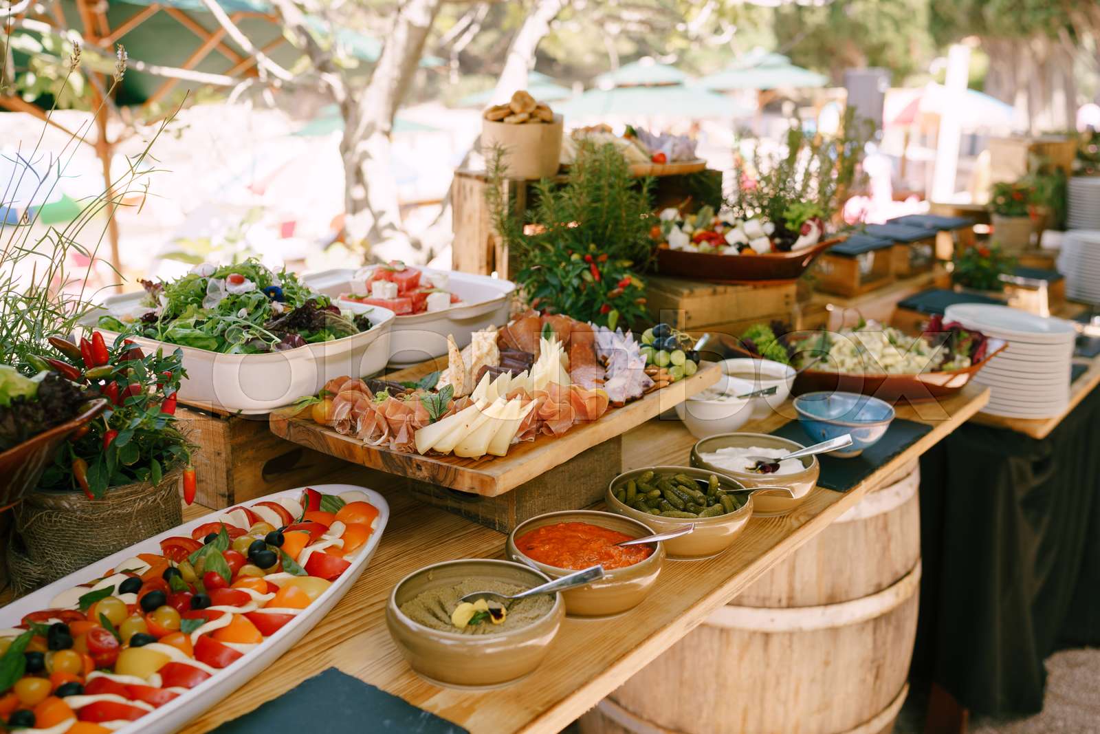 A Place To Prepare Food For A Banquet In Nature With Plates And Planks a-place-to-prepare-food-for-a-banquet-in-nature-with-plates-and-planks