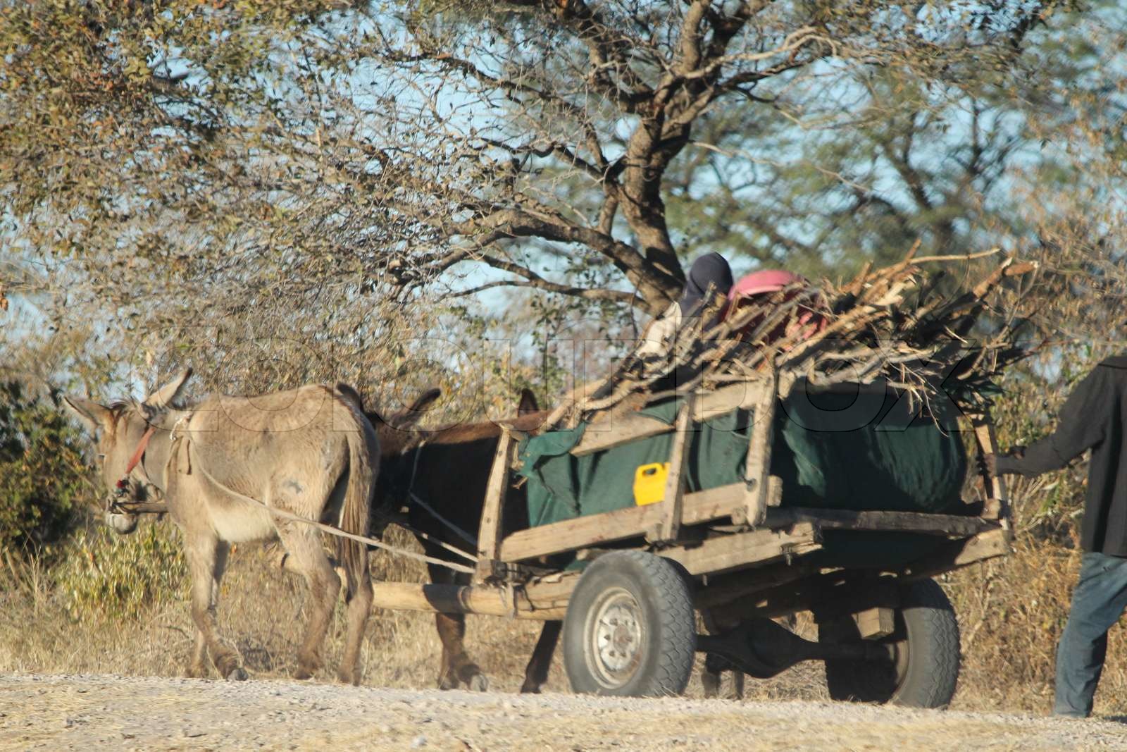 Namibian transport | Stock image | Colourbox