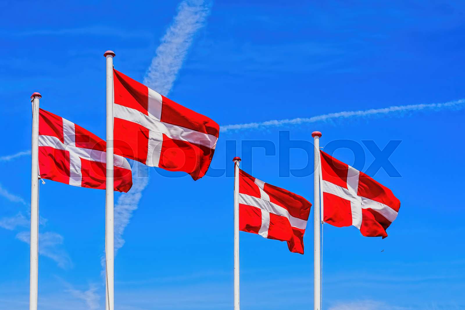 dannebrog, flag, danske flag | Stock foto | Colourbox