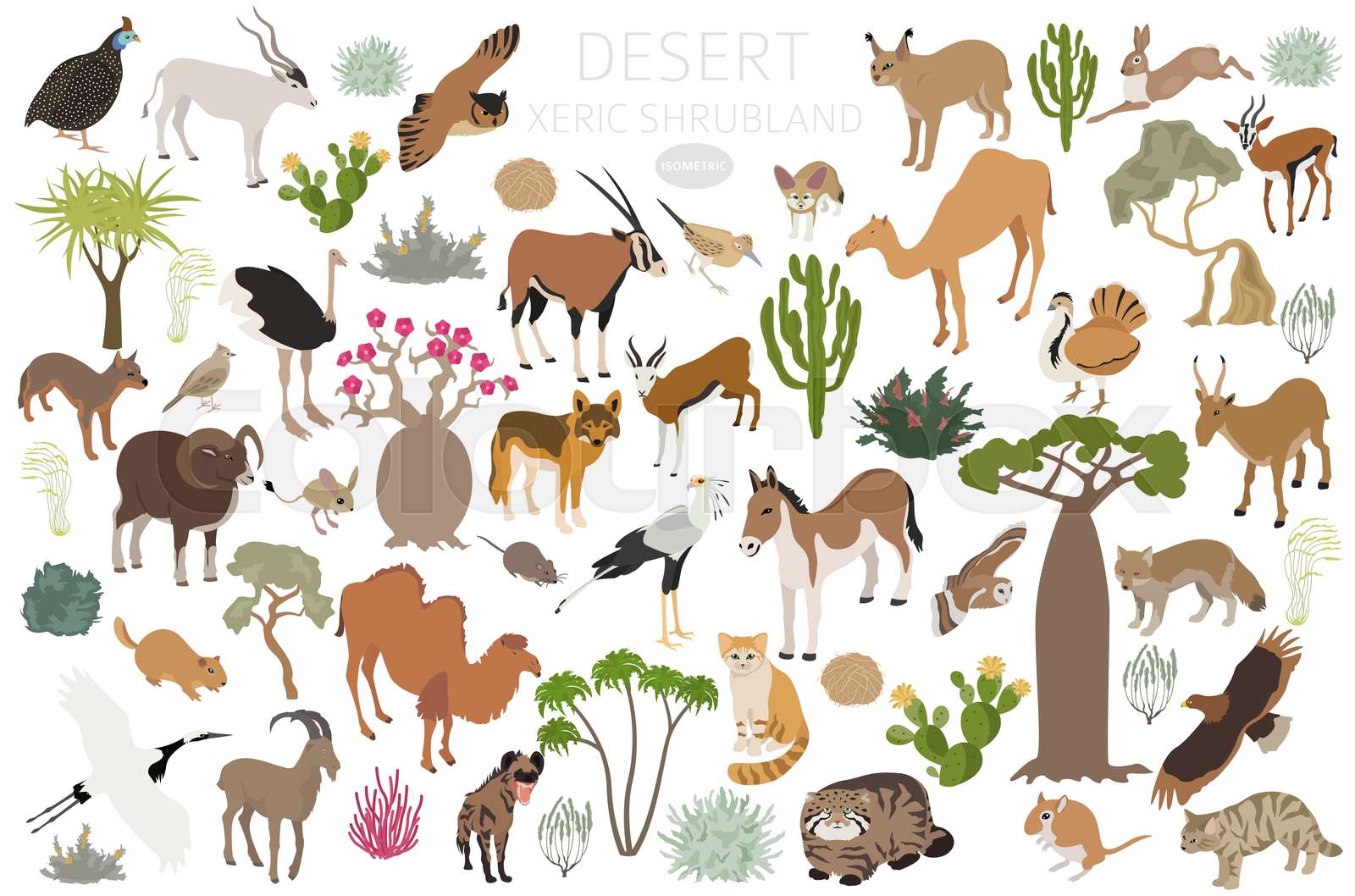 Desert Animals Clipart