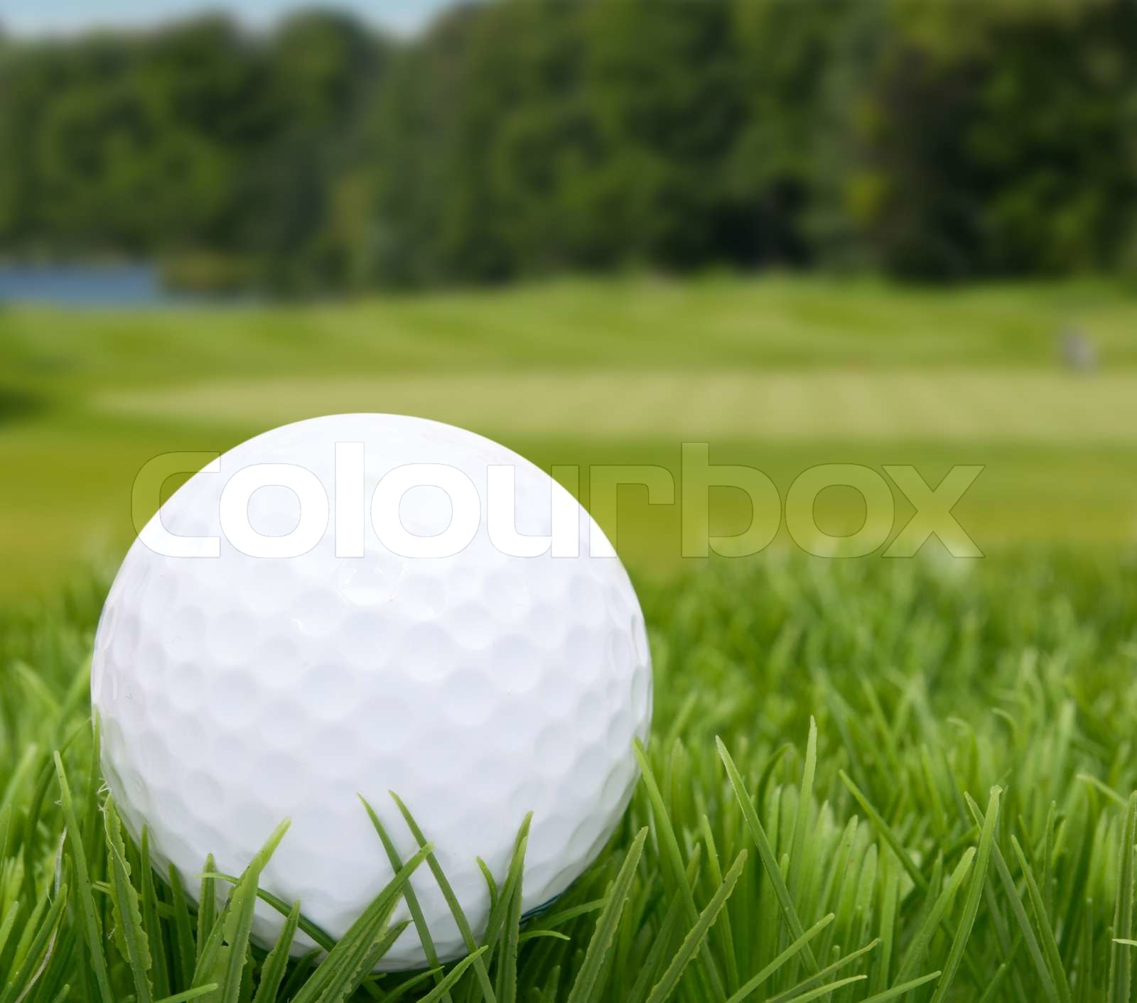 golf, bane, græsplæne | Stock foto | Colourbox