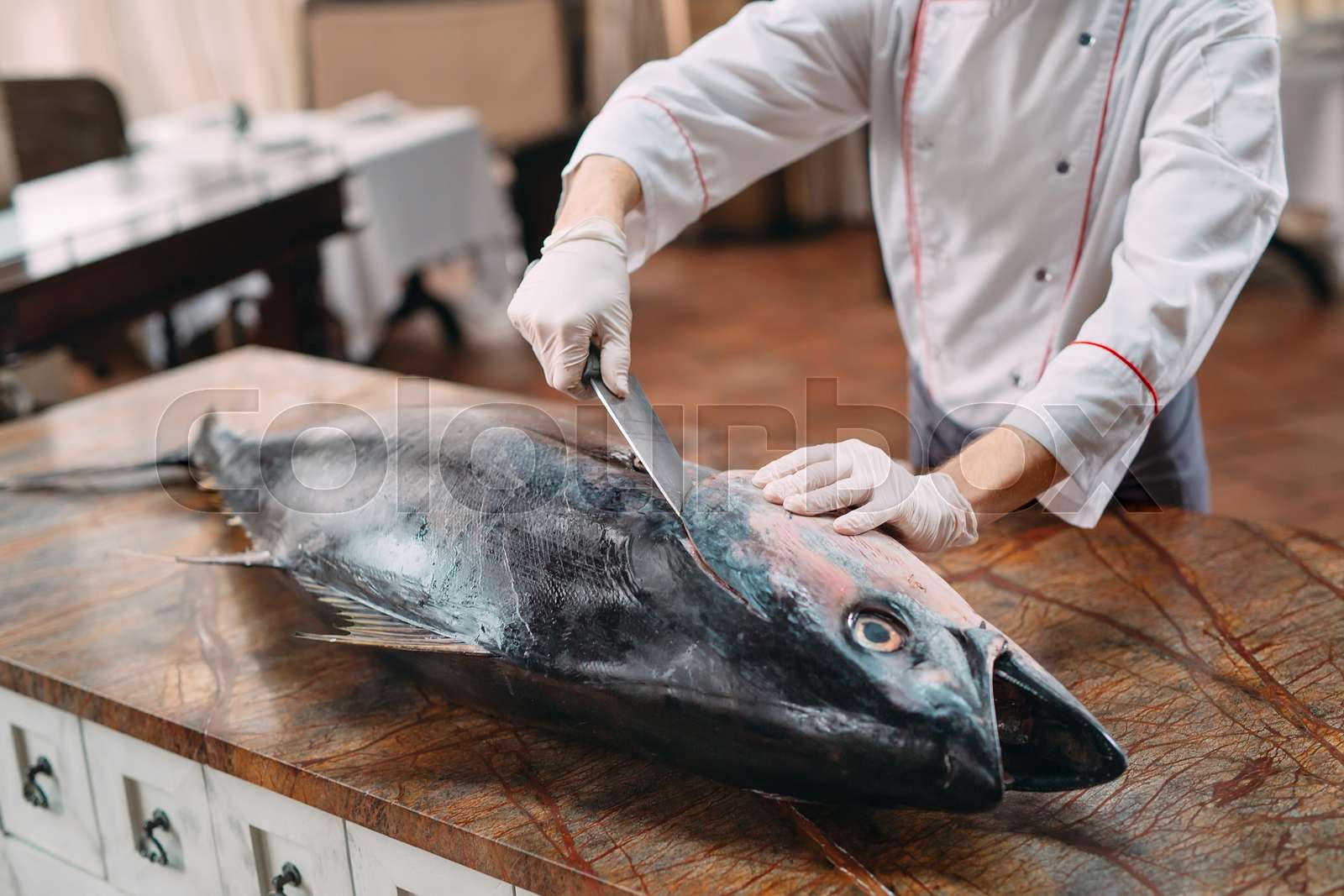 Cooked Tuna Fish