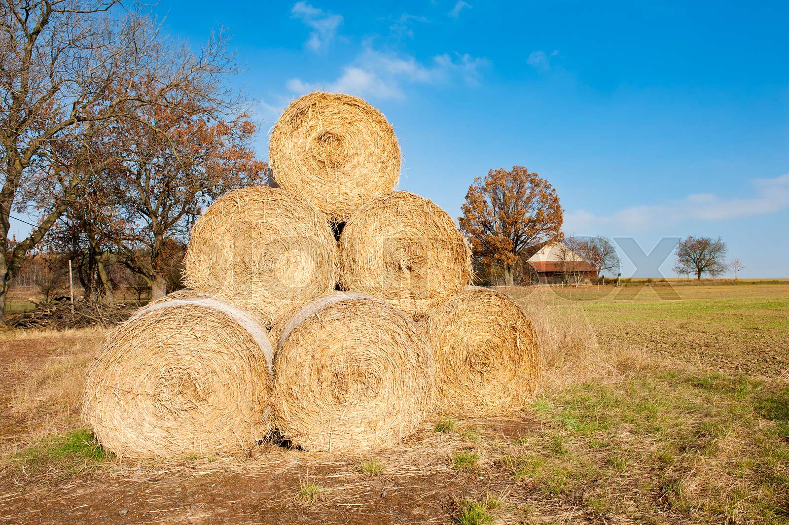 Straw bales pyramid | Stock image | Colourbox