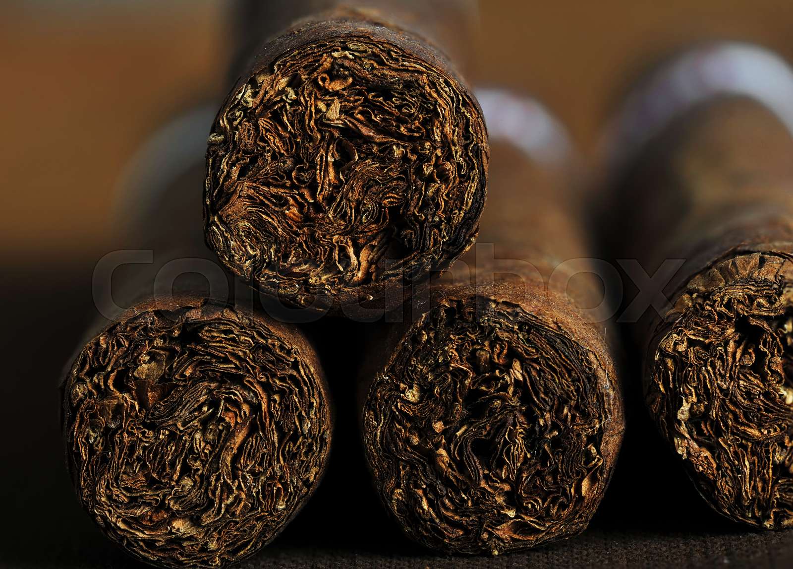 Cigars | Stock image | Colourbox