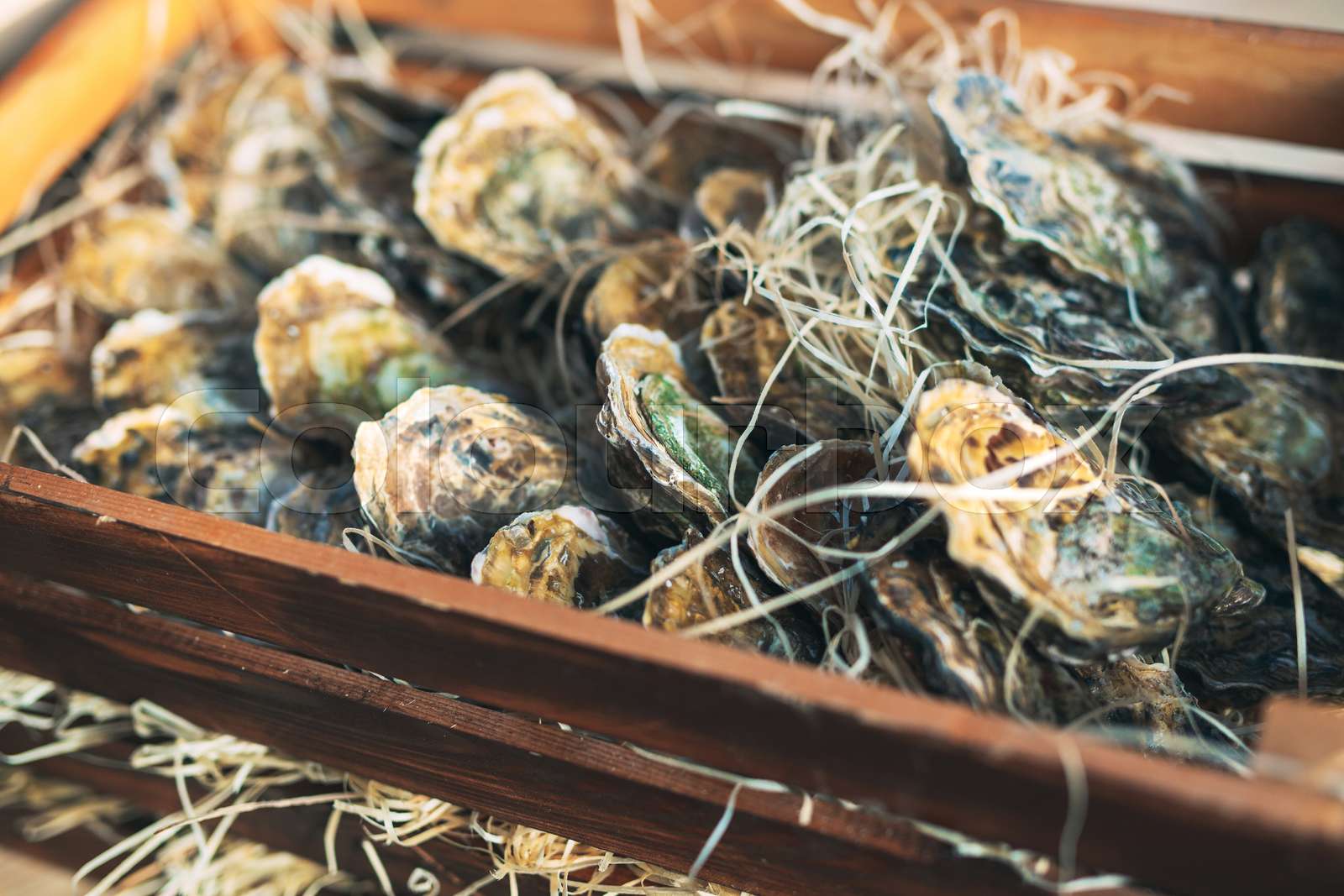 Oysters in a wooden box in the restaurant. | Stock image | Colourbox