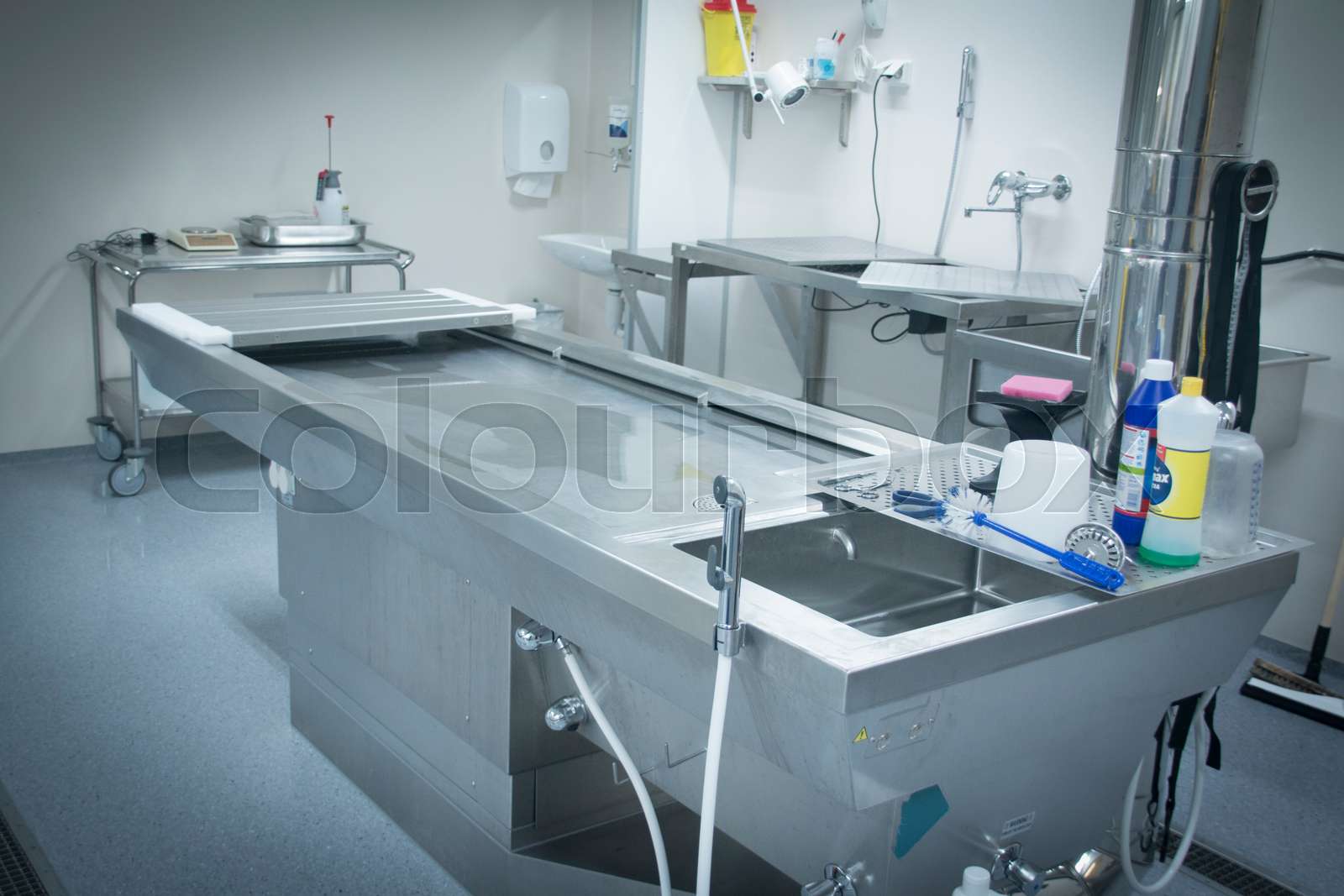 Autopsy Bench | Stock image | Colourbox