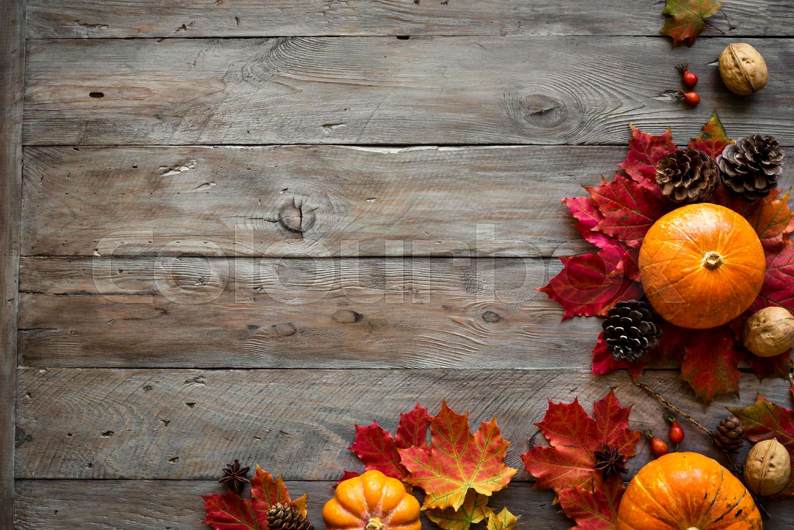Autumn Background | Stock image | Colourbox