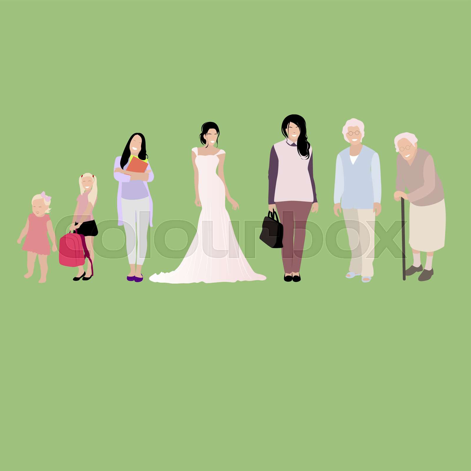 Female development stage genaration, baby teen woman | Stock vector ...