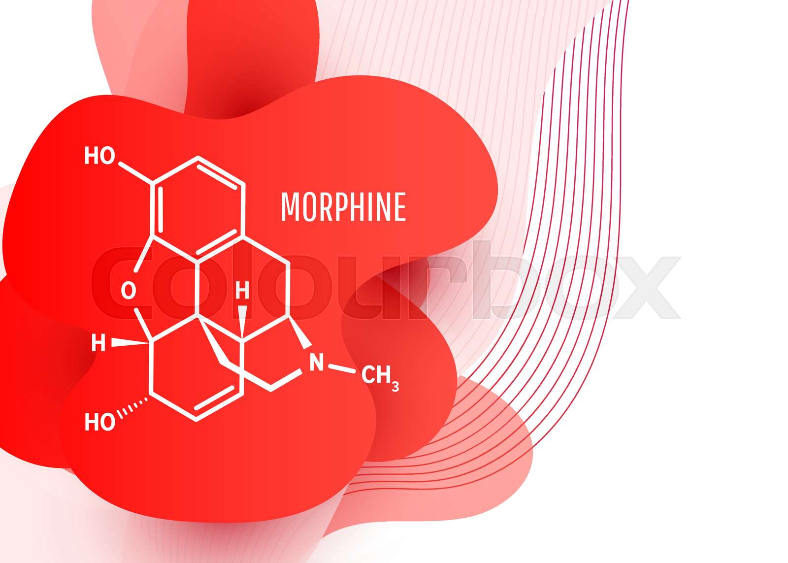 Morphine chemical formula, opium alkaloid. | Stock vector | Colourbox