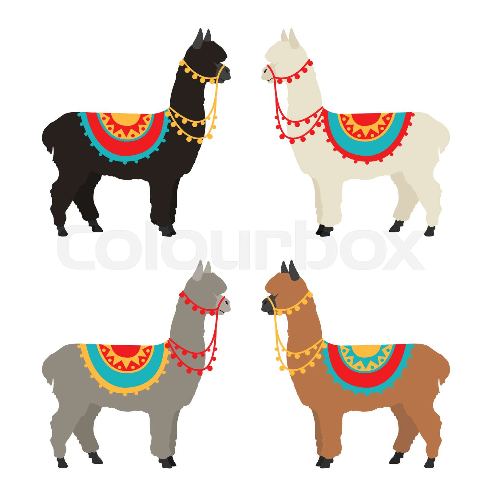 Camelids family collection. Alpaca graphic design | Stock vector ...