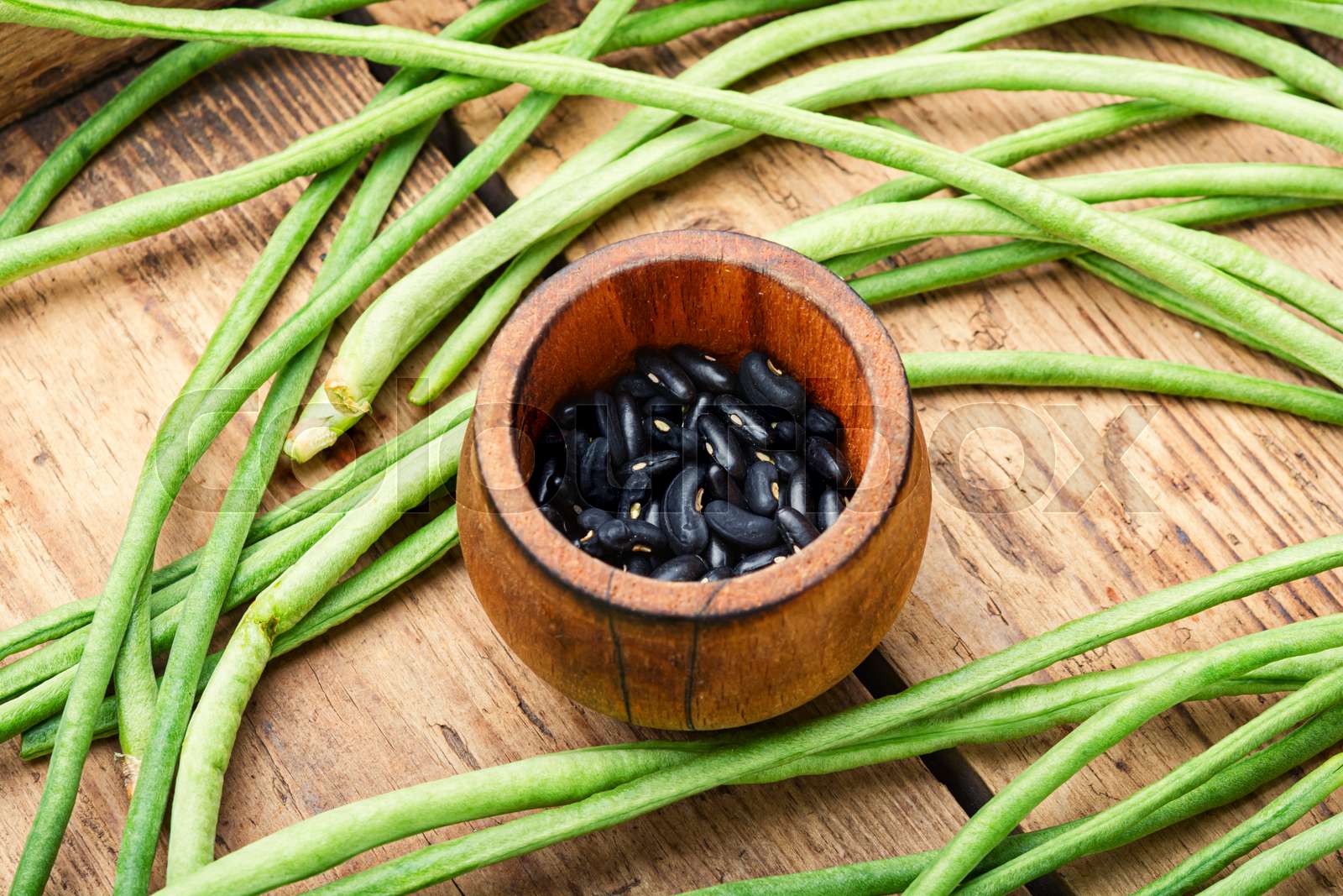 Vigna or cowpea | Stock image | Colourbox