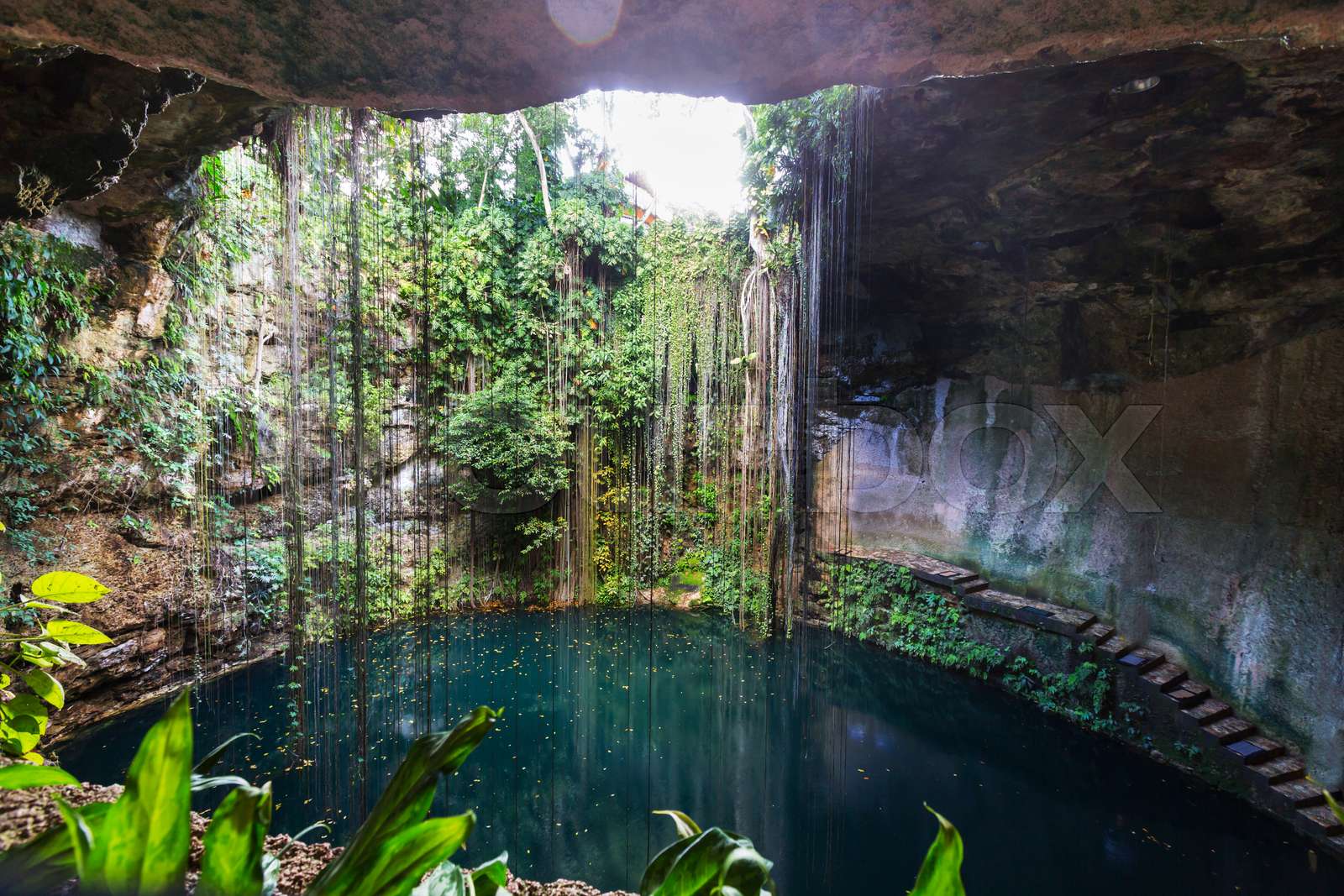 cenote | Stock image | Colourbox