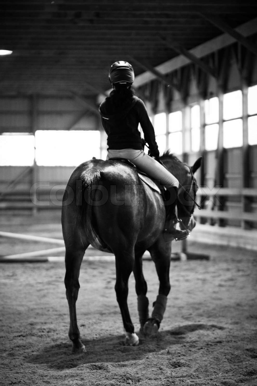 Horse Back Riding | Stock image | Colourbox
