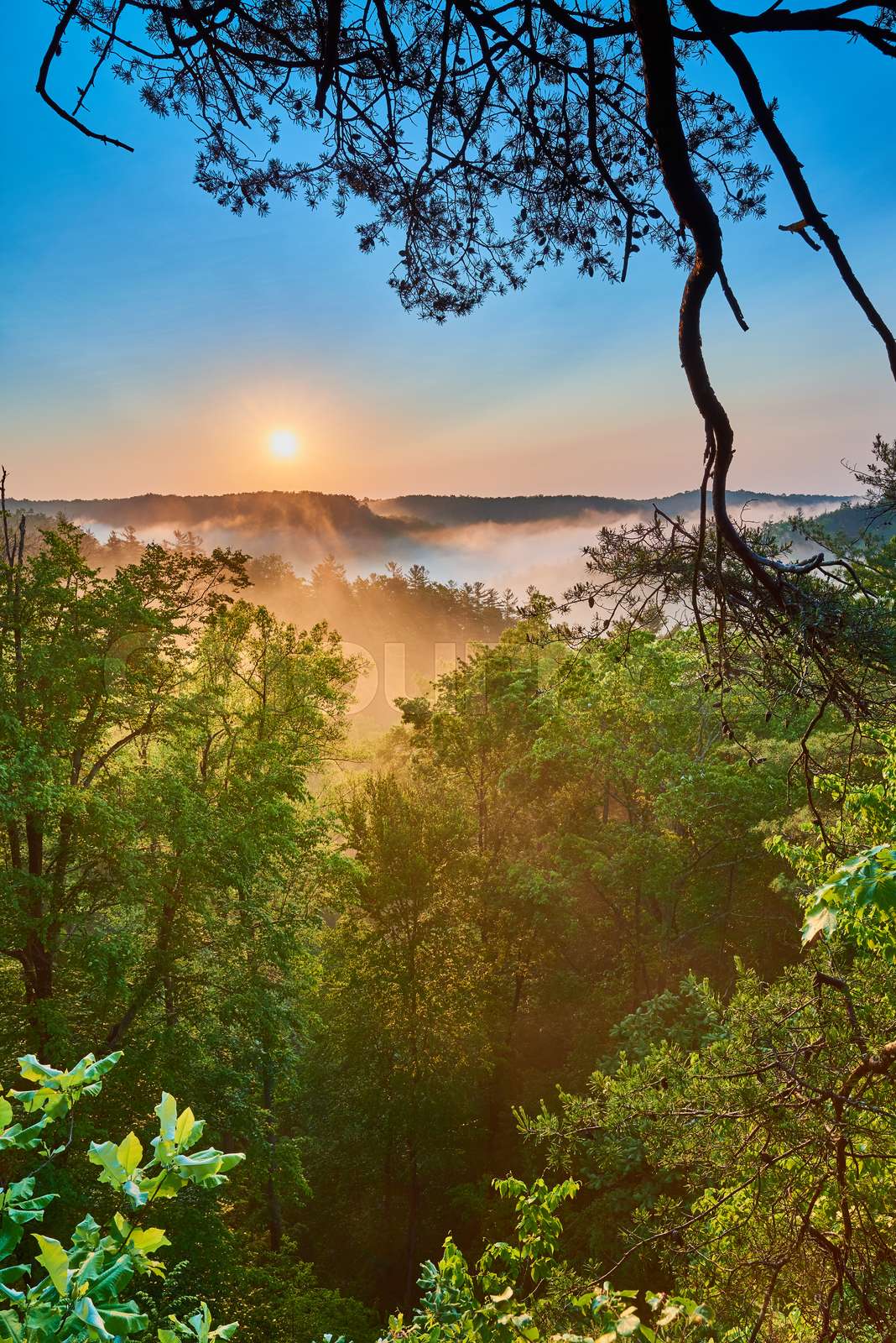 Kentucky Sunrise