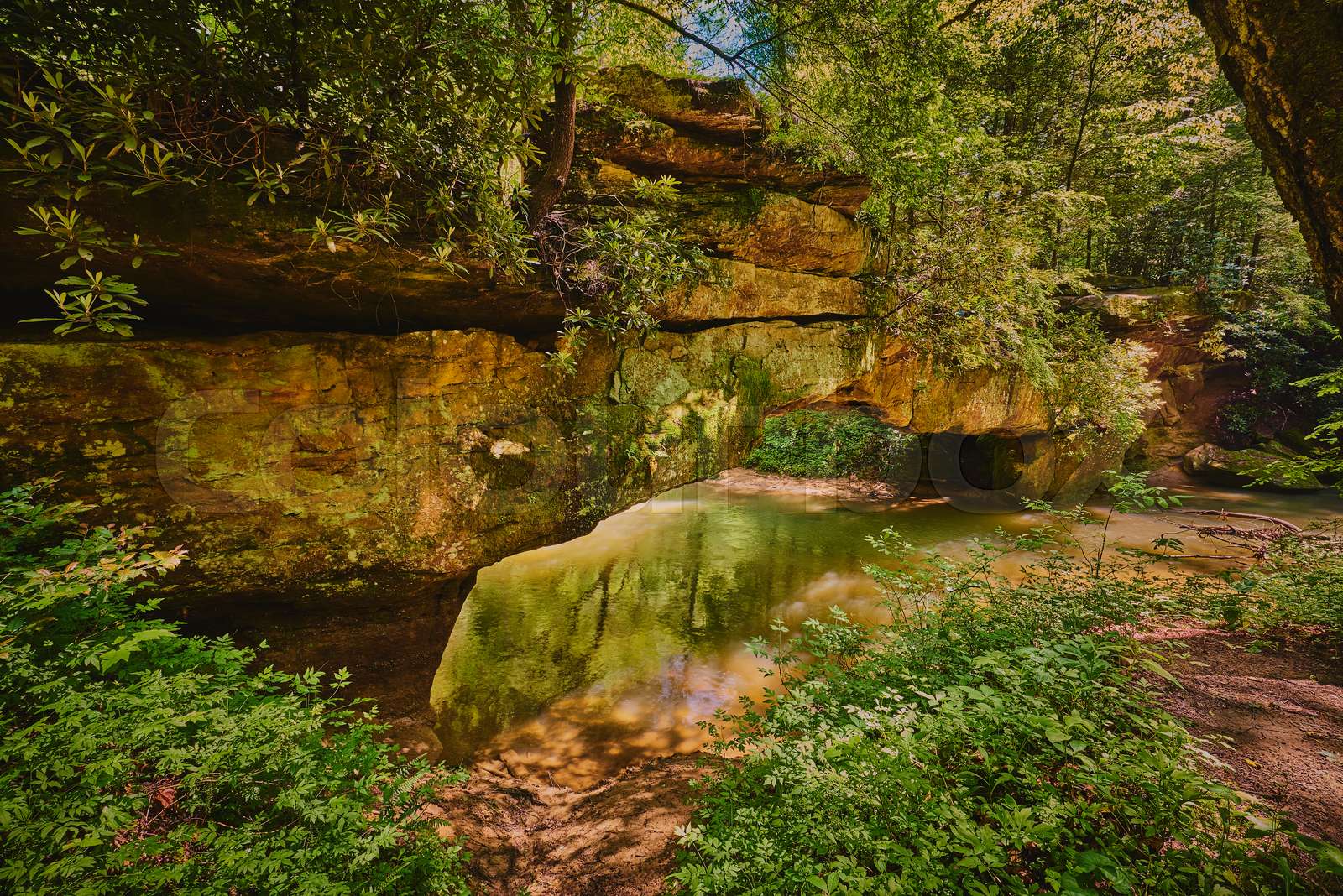 Rock Bridge, Red River Gorge KY | Stock image | Colourbox