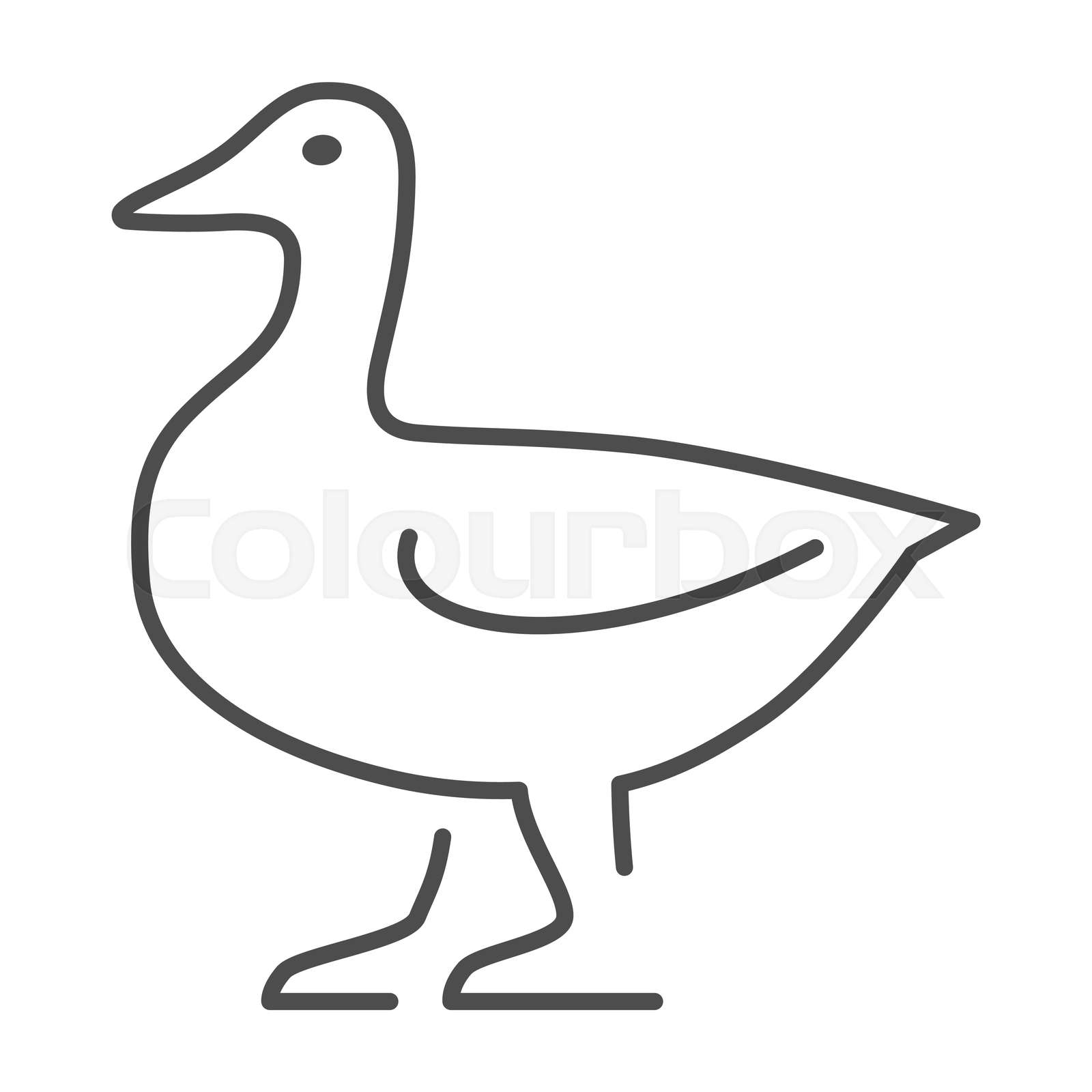 Simple Duckling Outline