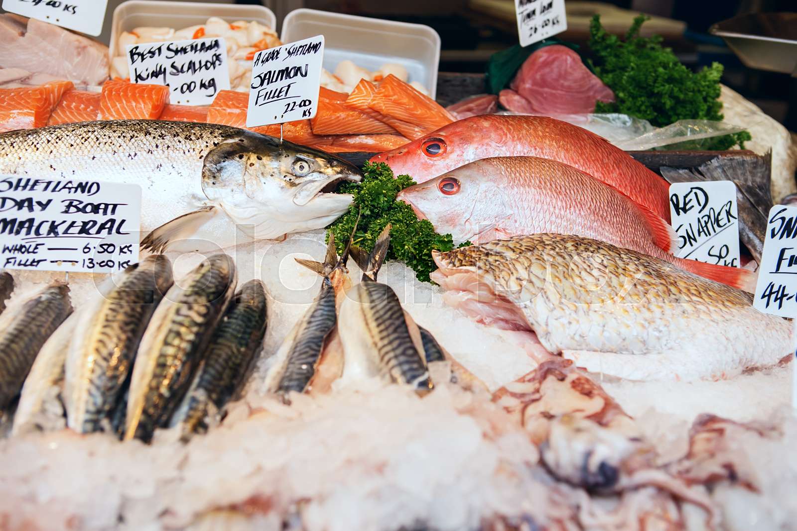 Freshly caught Sea fishes and other seafood on display at Borough ...