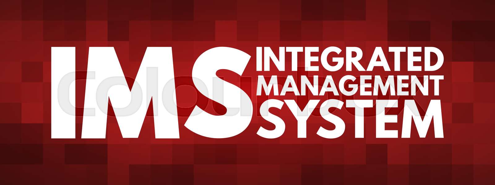 IMS - Integrated Management System acronym | Stock vector | Colourbox