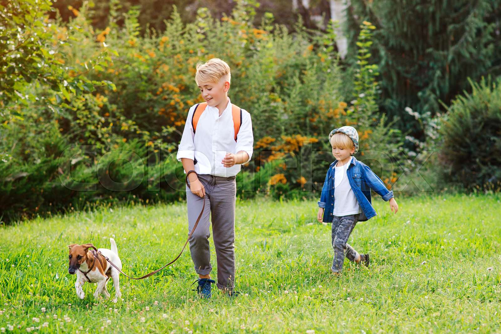Children with dog walking in the park. Family, friendship, animals and ...