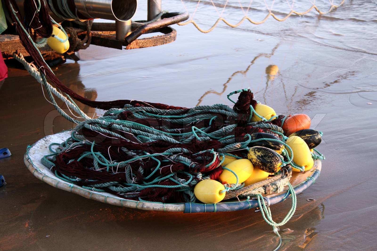 Faina | Stock image | Colourbox